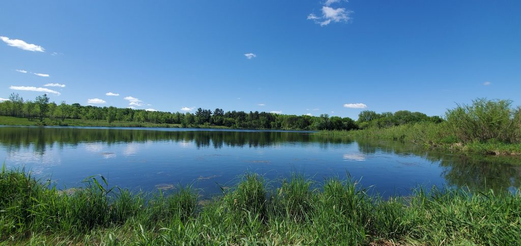 Colfax Red Cedar Preserve & Recreation Area – Colfax Red Cedar Preserve ...